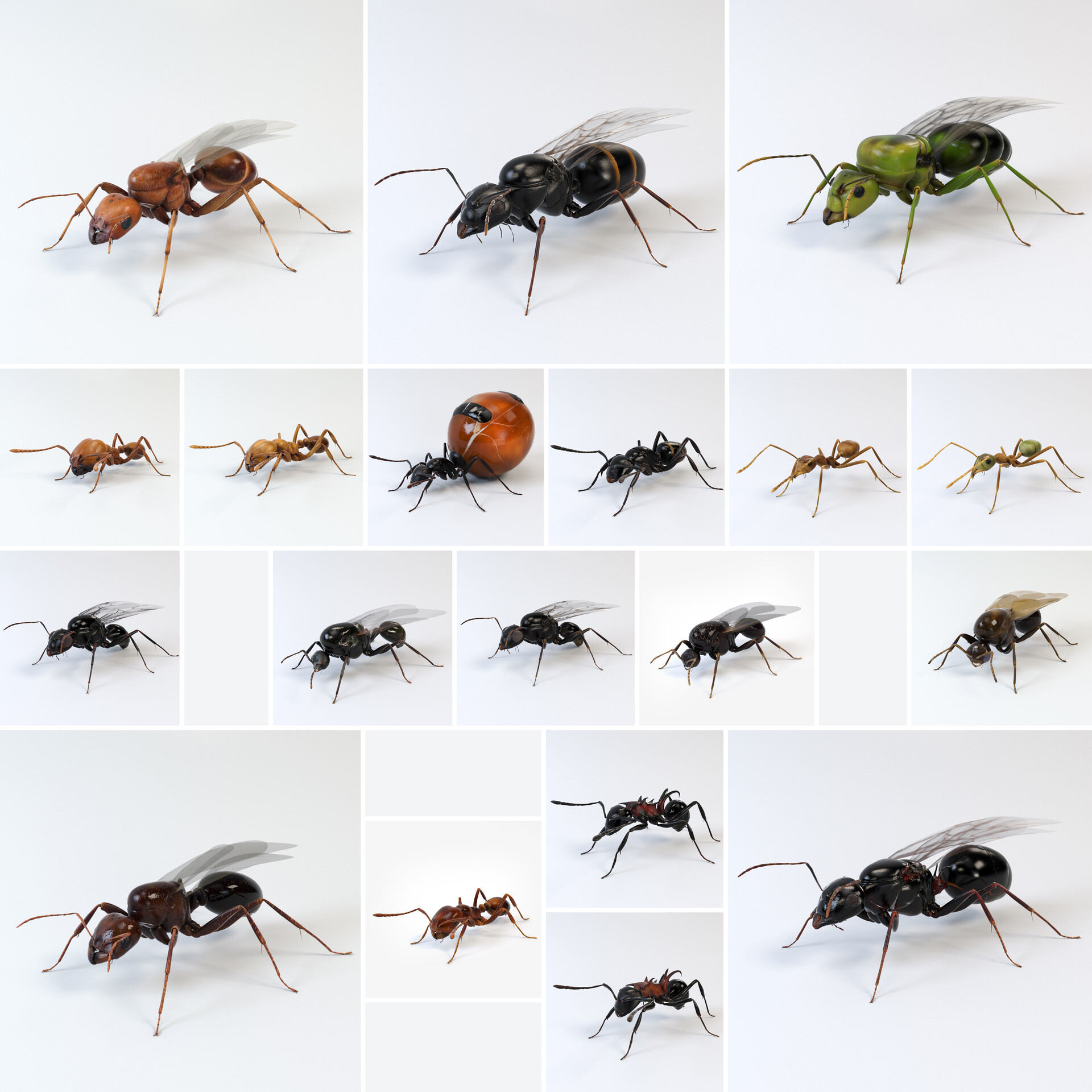 ArtStation - Ants and Insects 3D Game-Ready