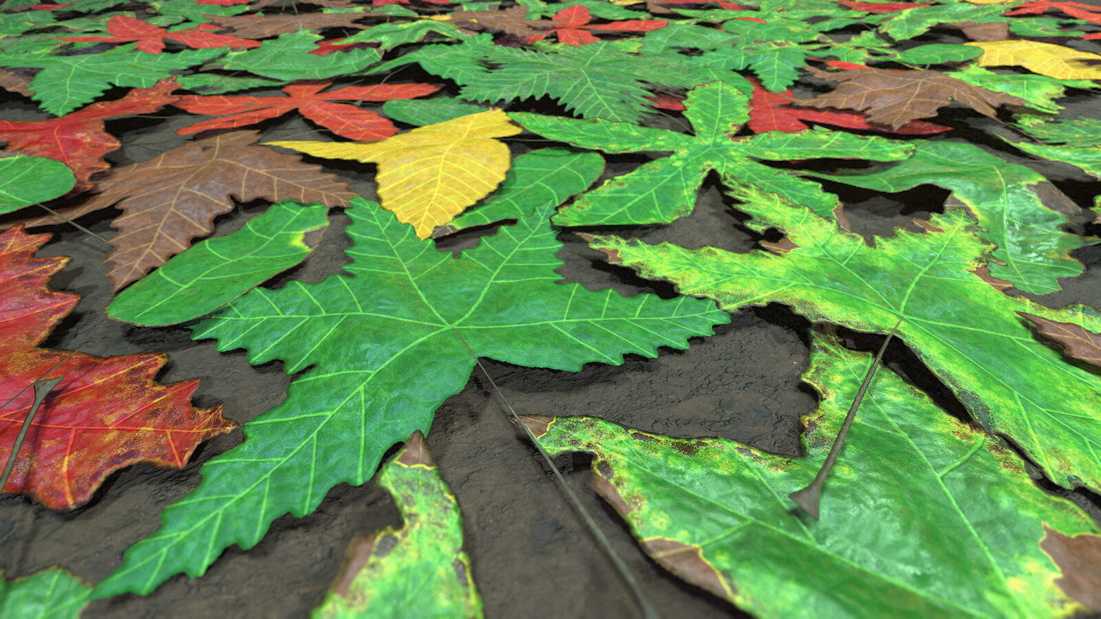 Caleb Tate - Leaf Generation