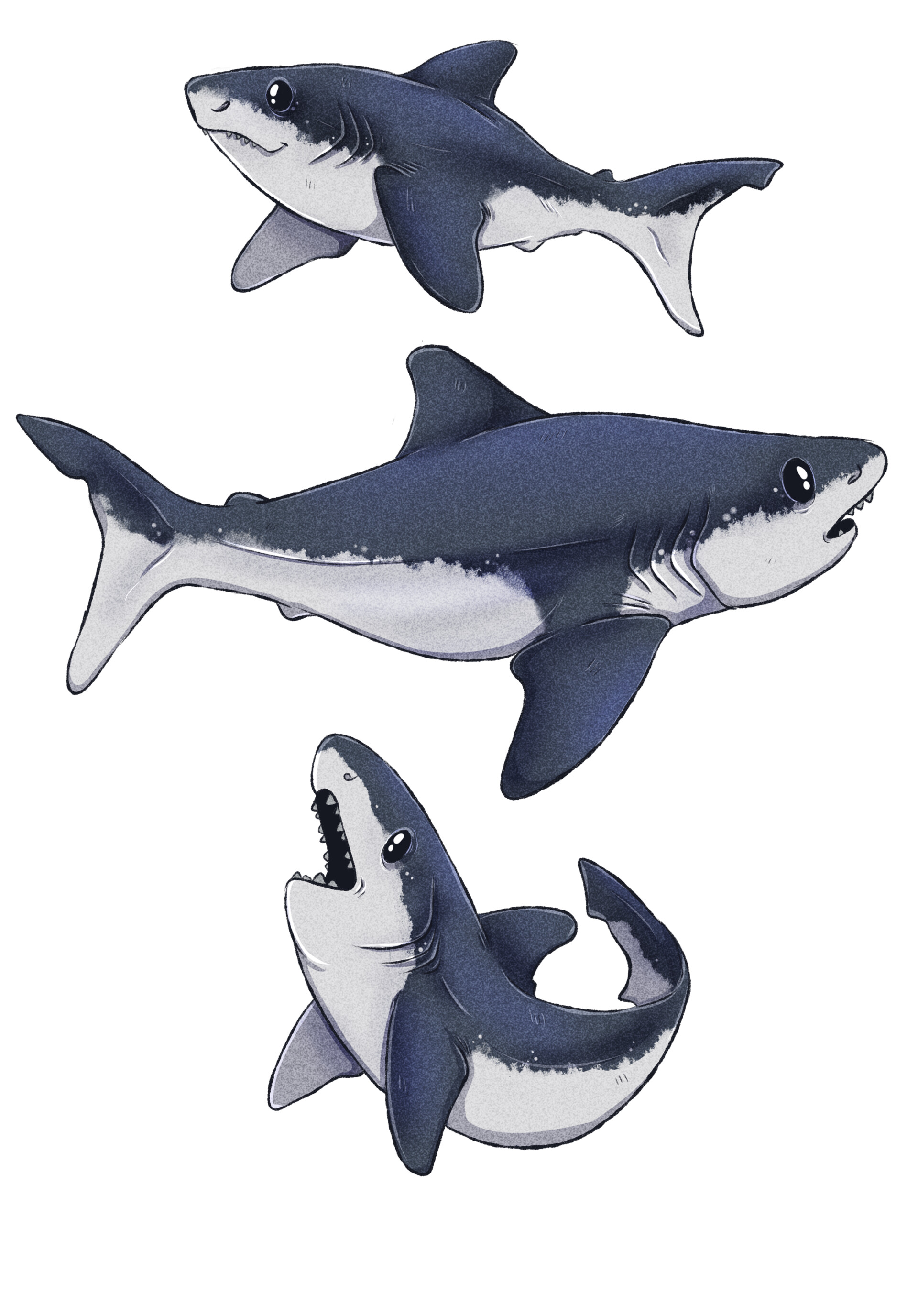 ArtStation - salmon shark