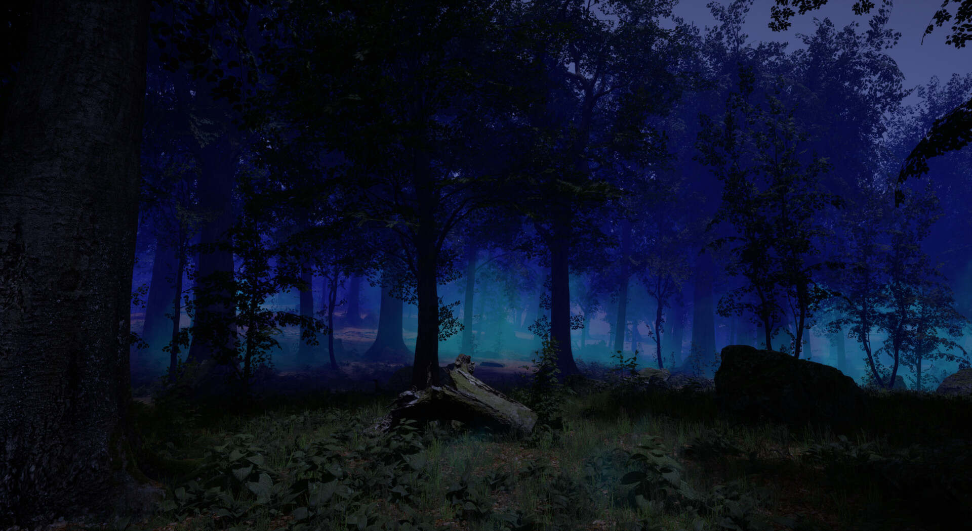 Christian Solis - Quandering Forest