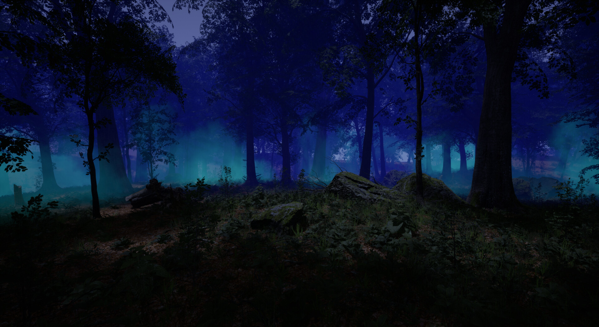 Christian Solis - Quandering Forest