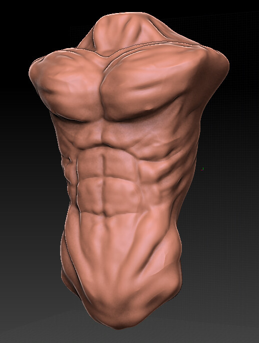 ArtStation - men torso