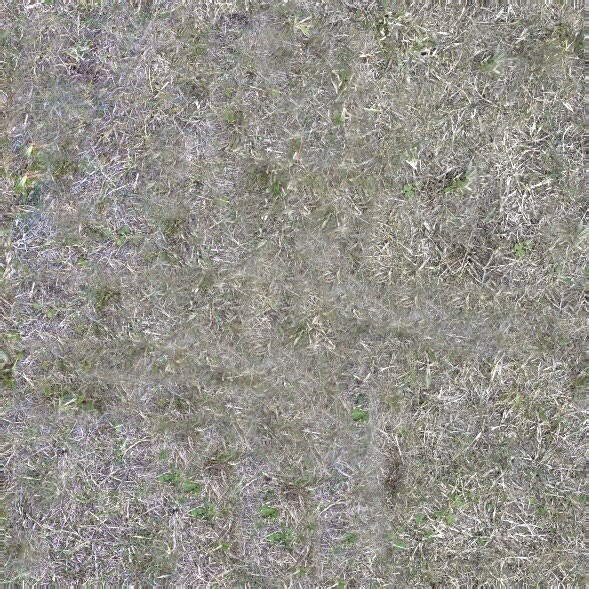 Christopher Matherne - Photogrammetry Material Grass