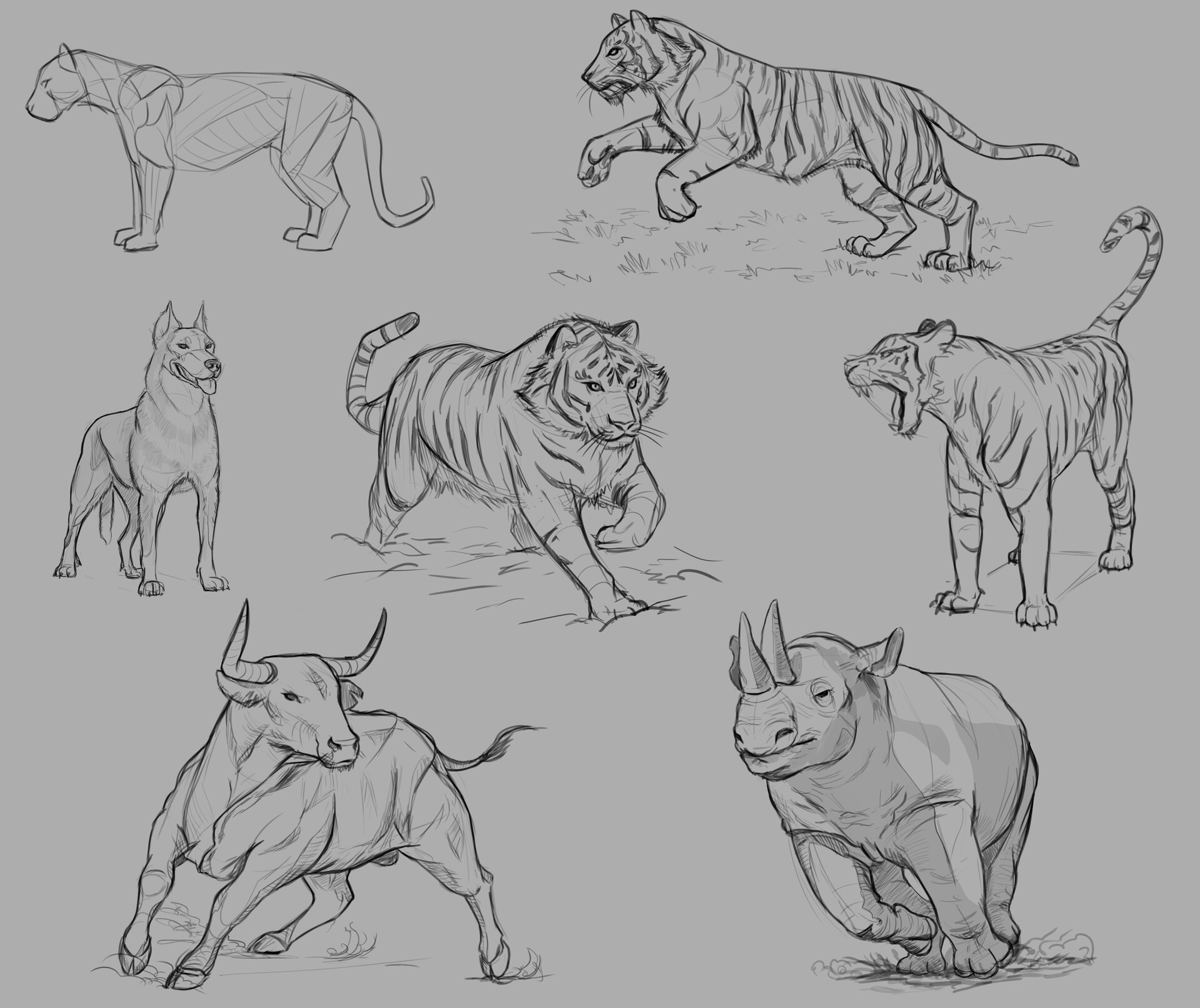 ArtStation - Sketches