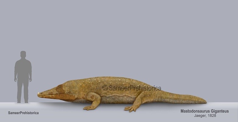 ArtStation - Mastodonsaurus