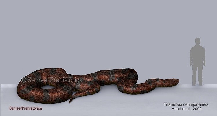 ArtStation - Titanoboa