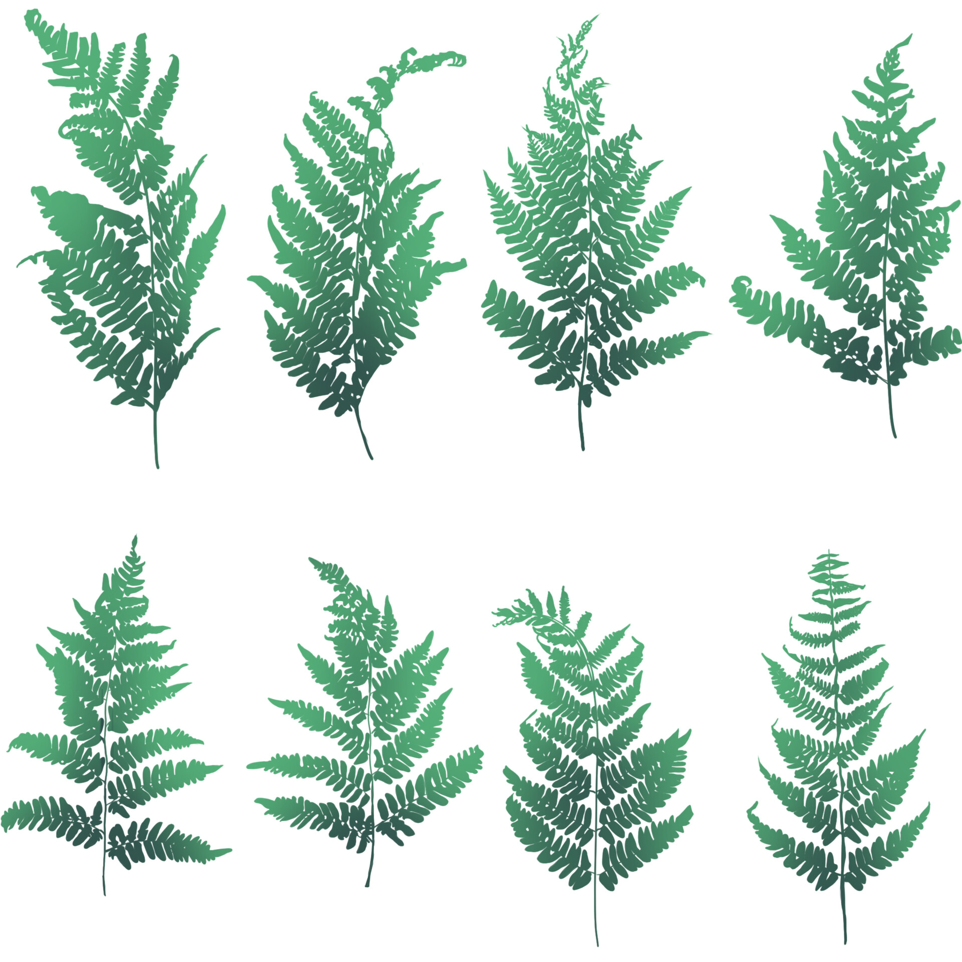 Chiara FOUSSEREAU - Stylized vegetation