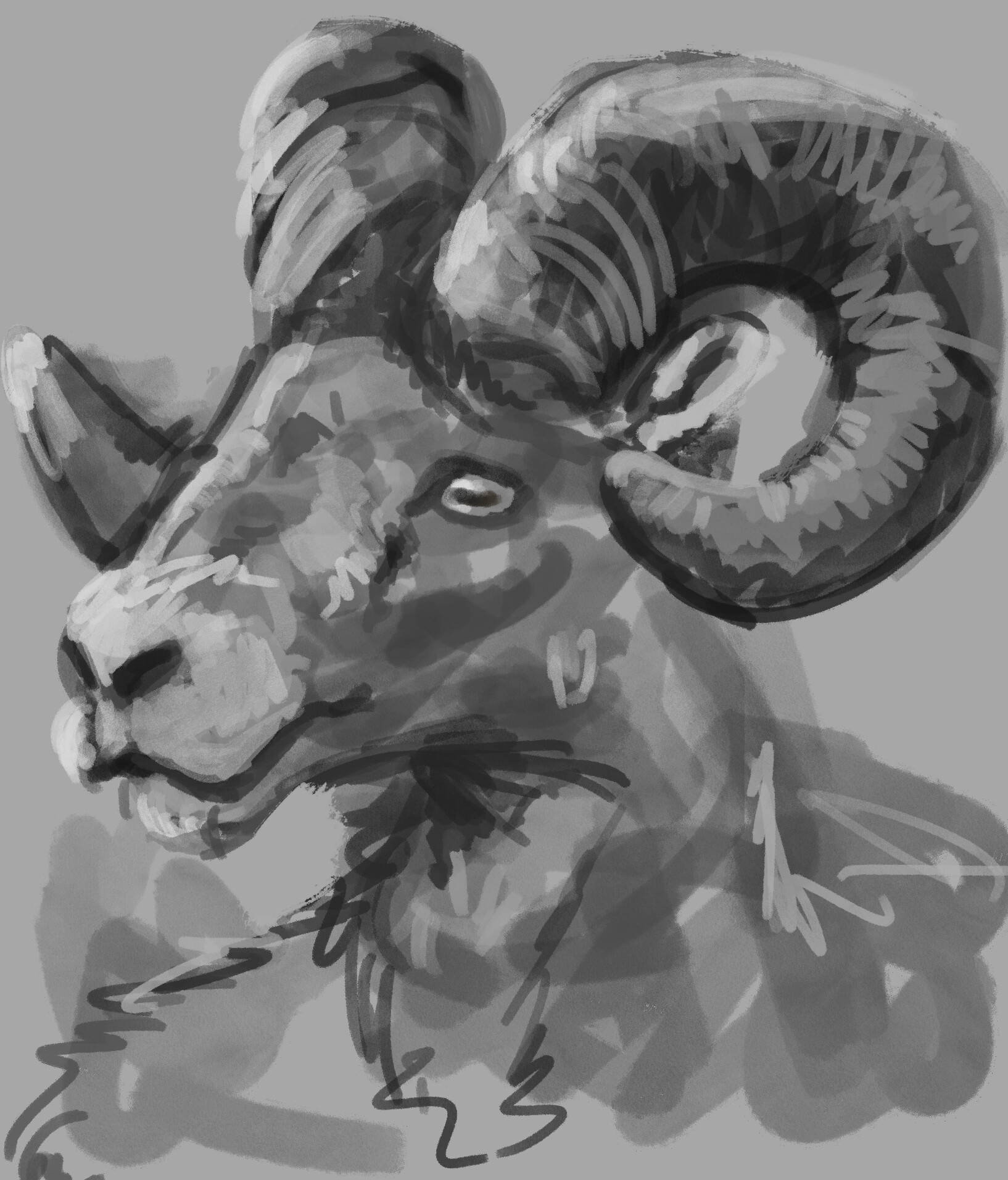 ArtStation - Goat Sketch