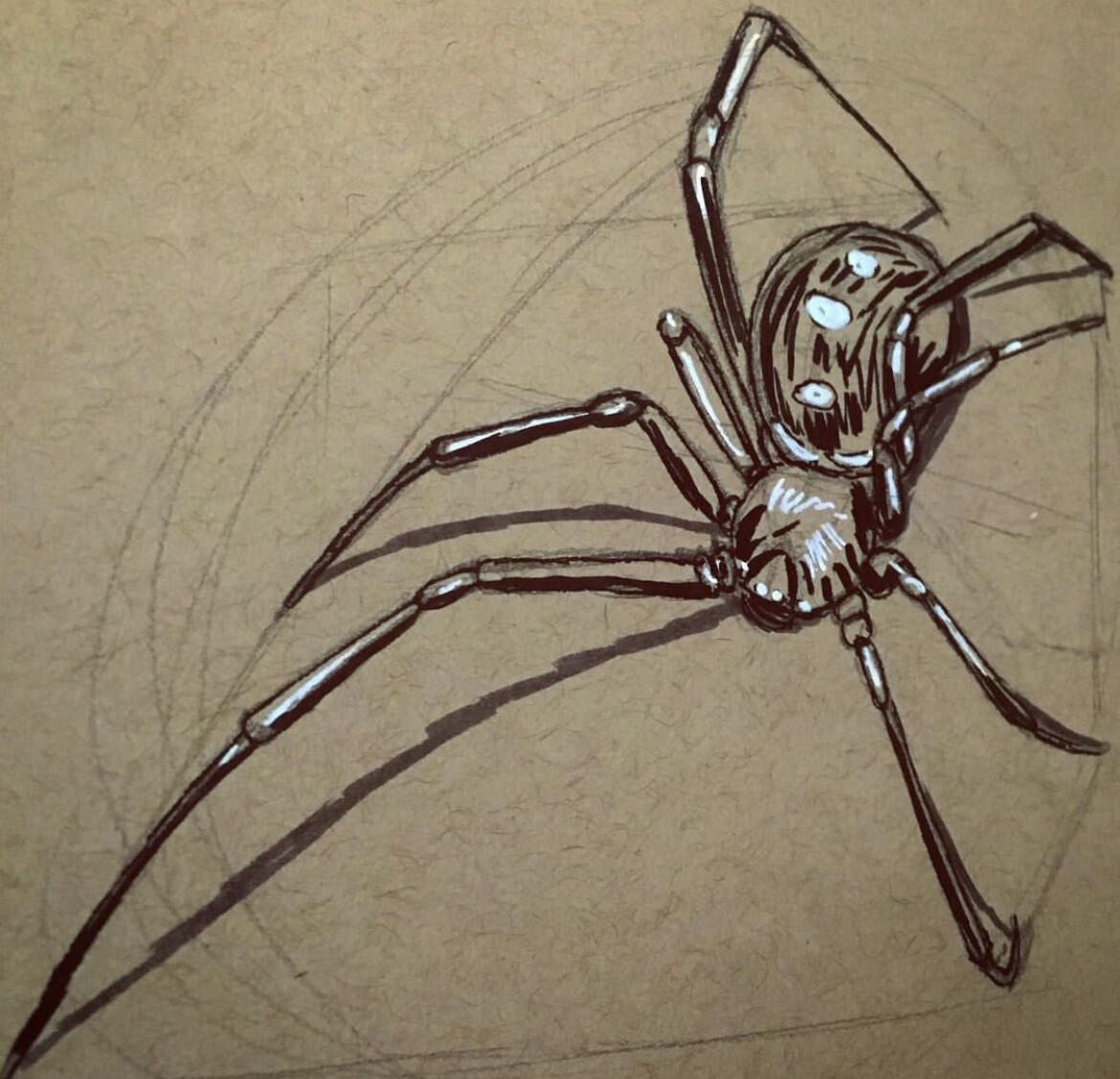 ArtStation - Spider Perspective Study 01