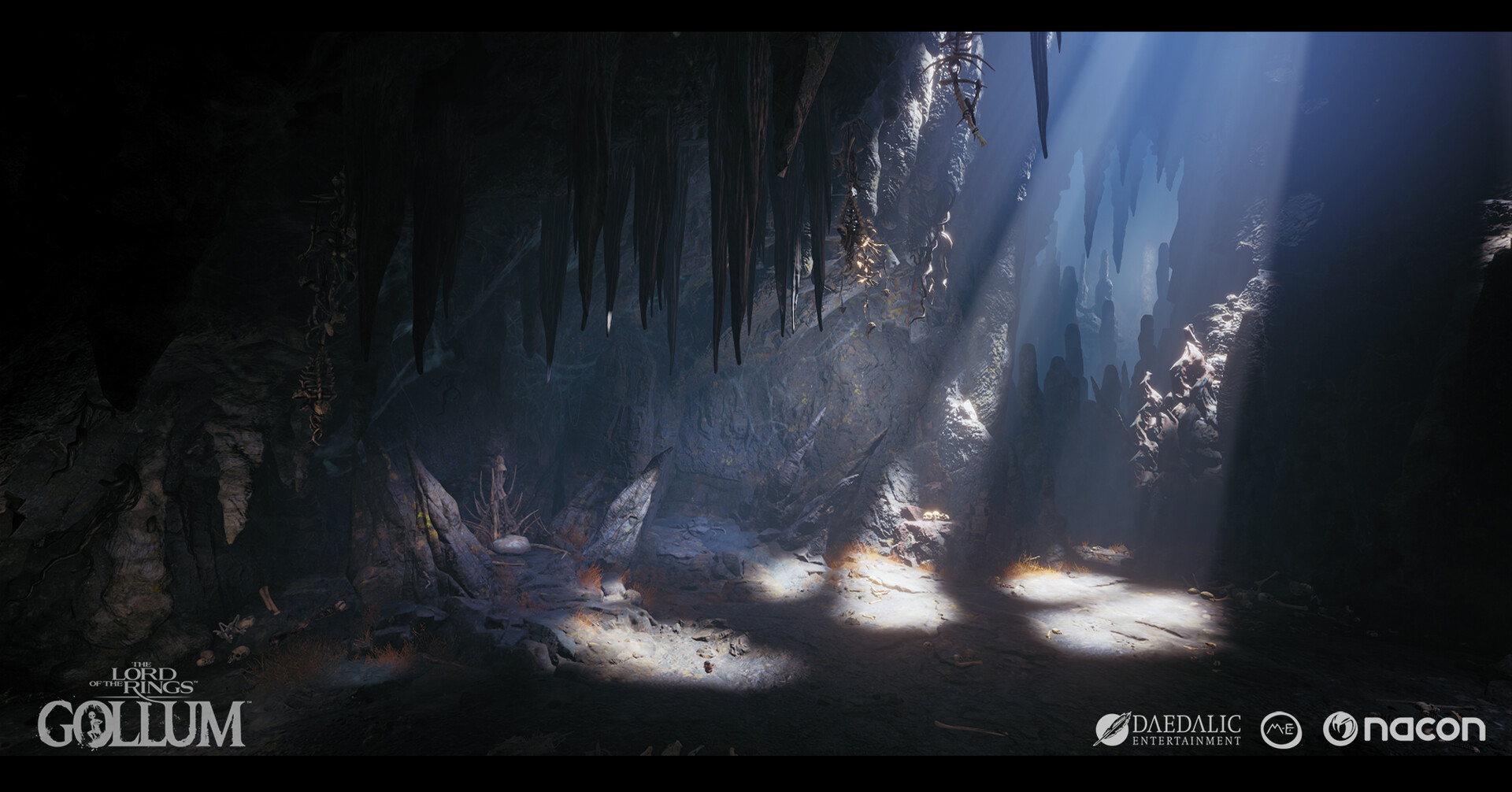 Tharik Mohammed Ehaya - Lord of the Rings: Gollum