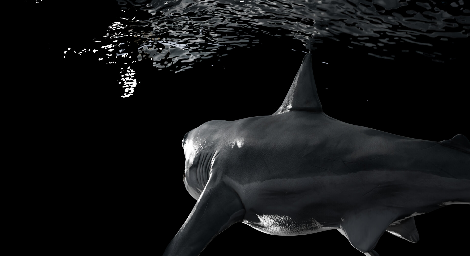 ArtStation - the empty raft