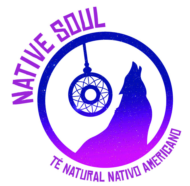 Ángel Sola Albendiz - Native Soul Logo