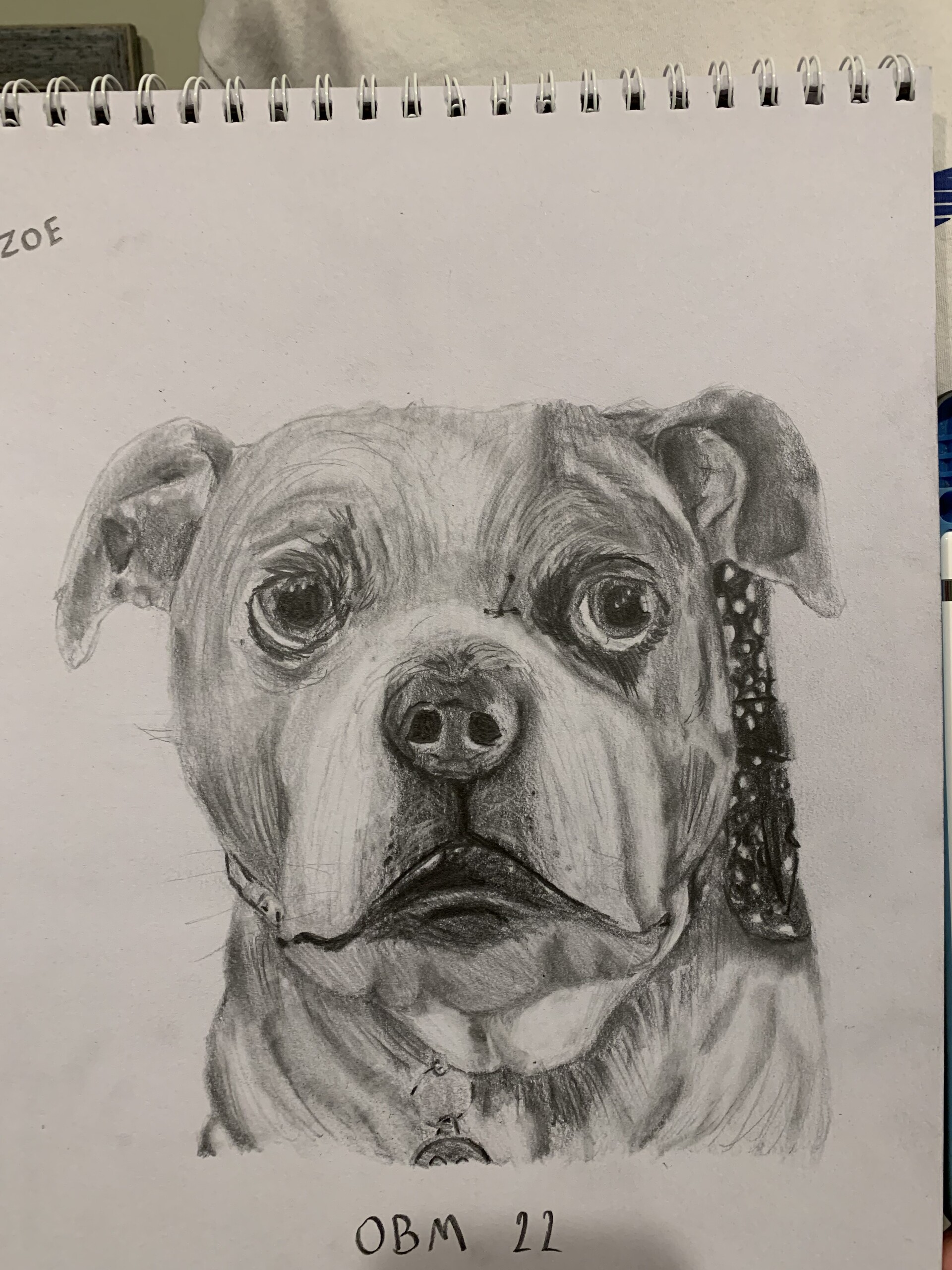 ArtStation - Dog graphite drawing