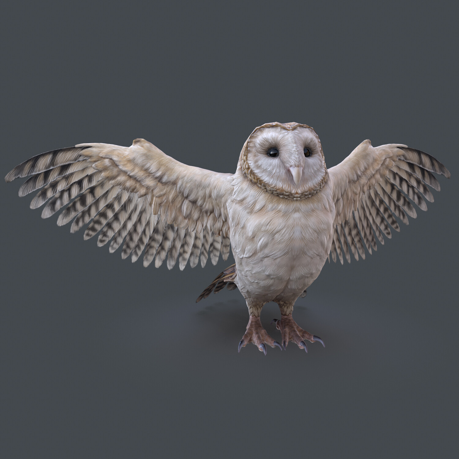 ArtStation - Barn Owl Low Poly