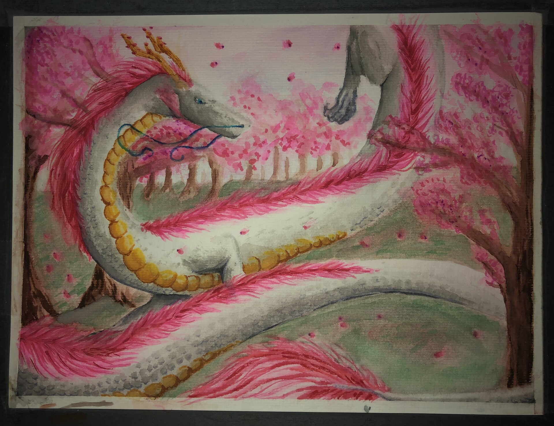 ArtStation - Sakura Dragon
