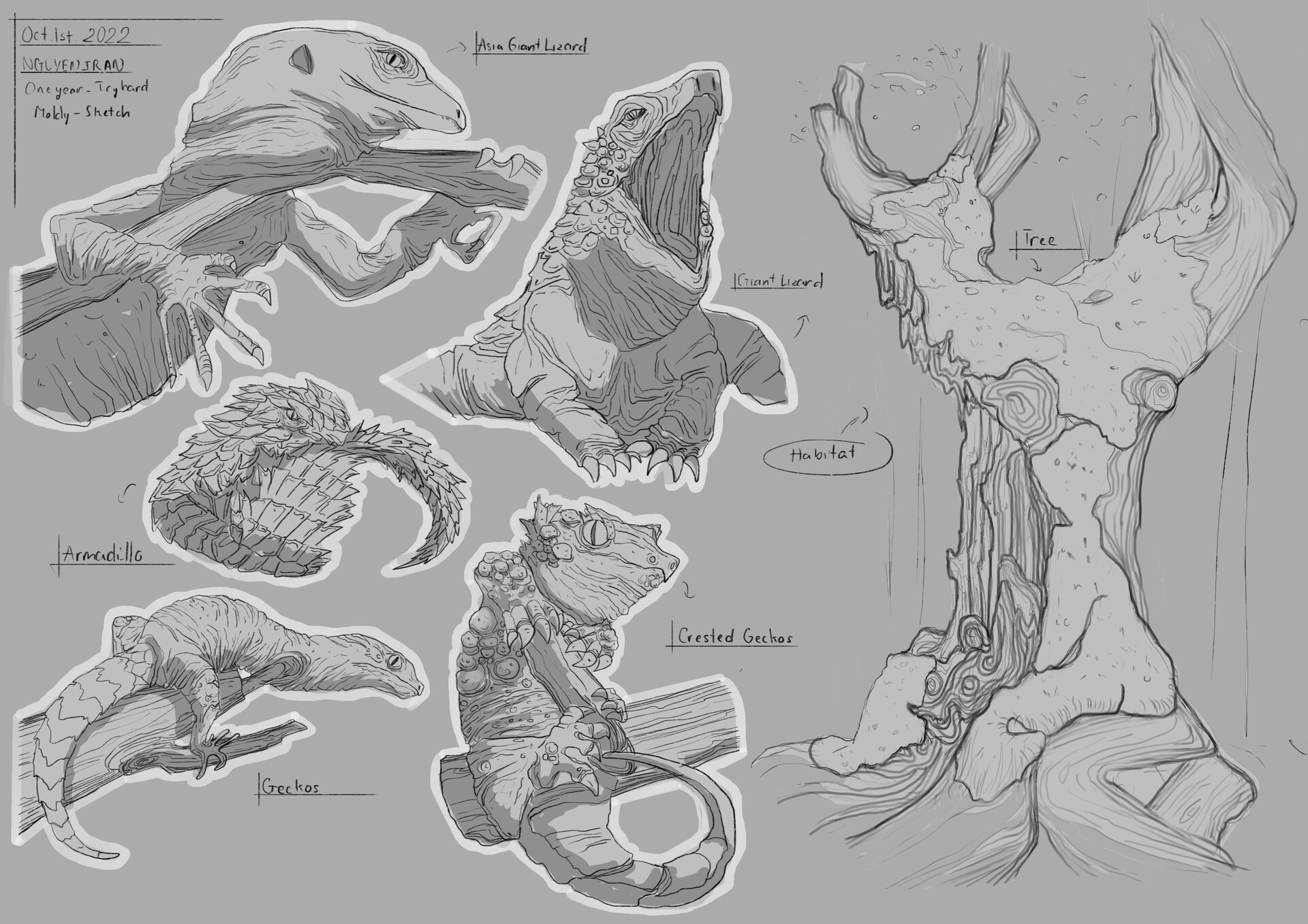 ArtStation - Sketching lizards