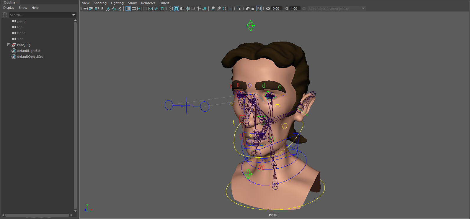 ArtStation - Rigging & Skinning for face