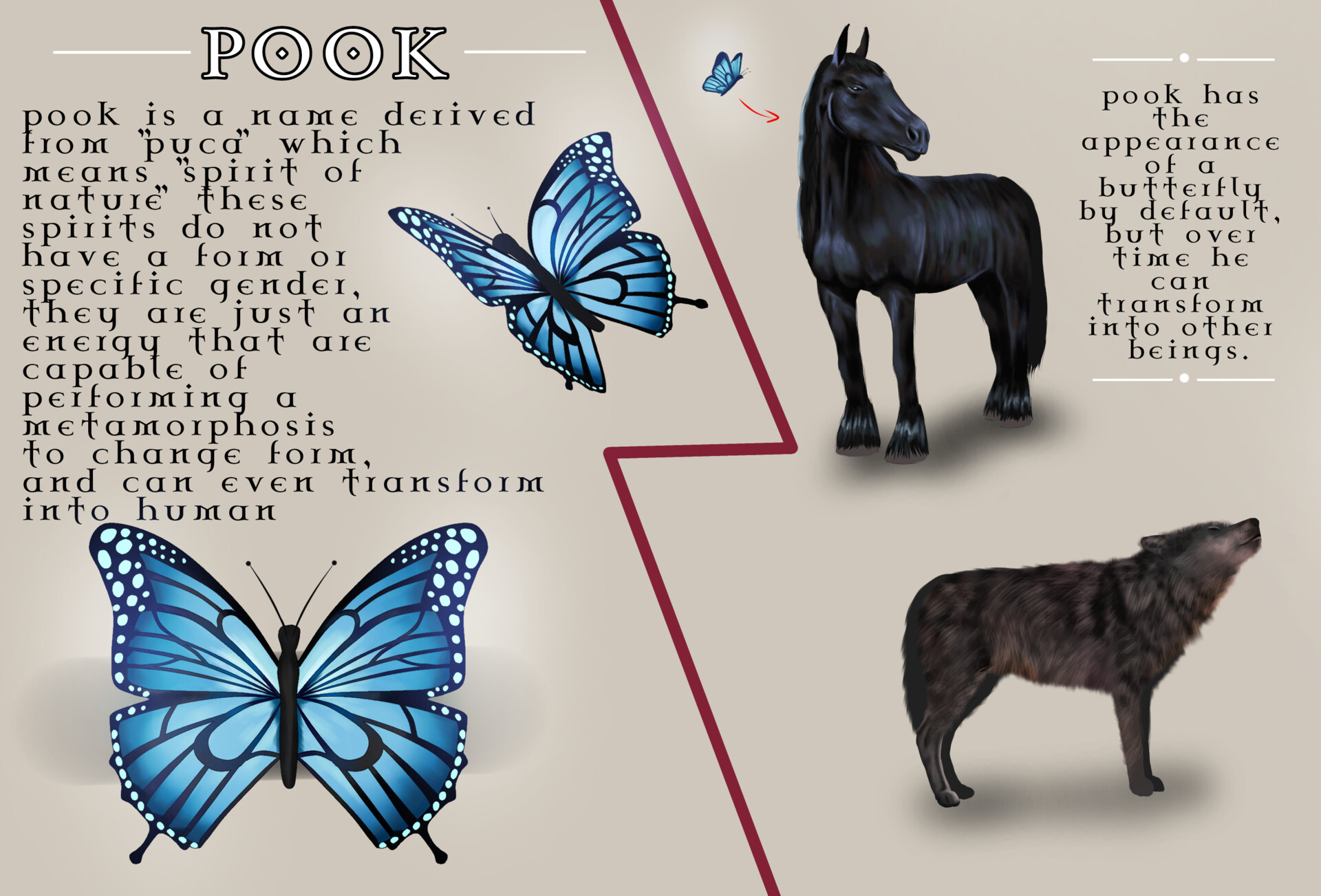 B R O D A - POOK AND JEANNE