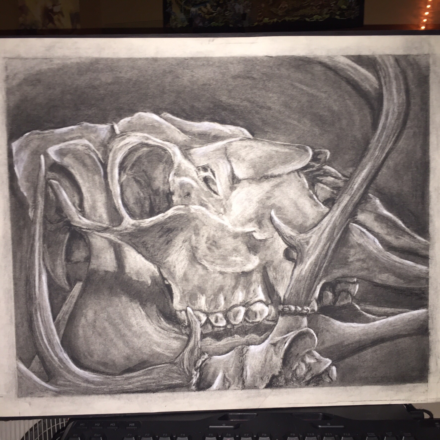 ArtStation - Skull Still life