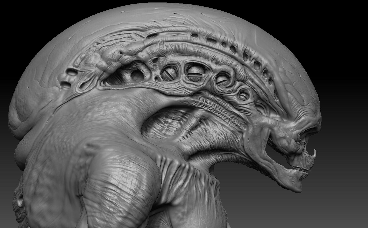 Alien Resurrection Newborn Genitalia