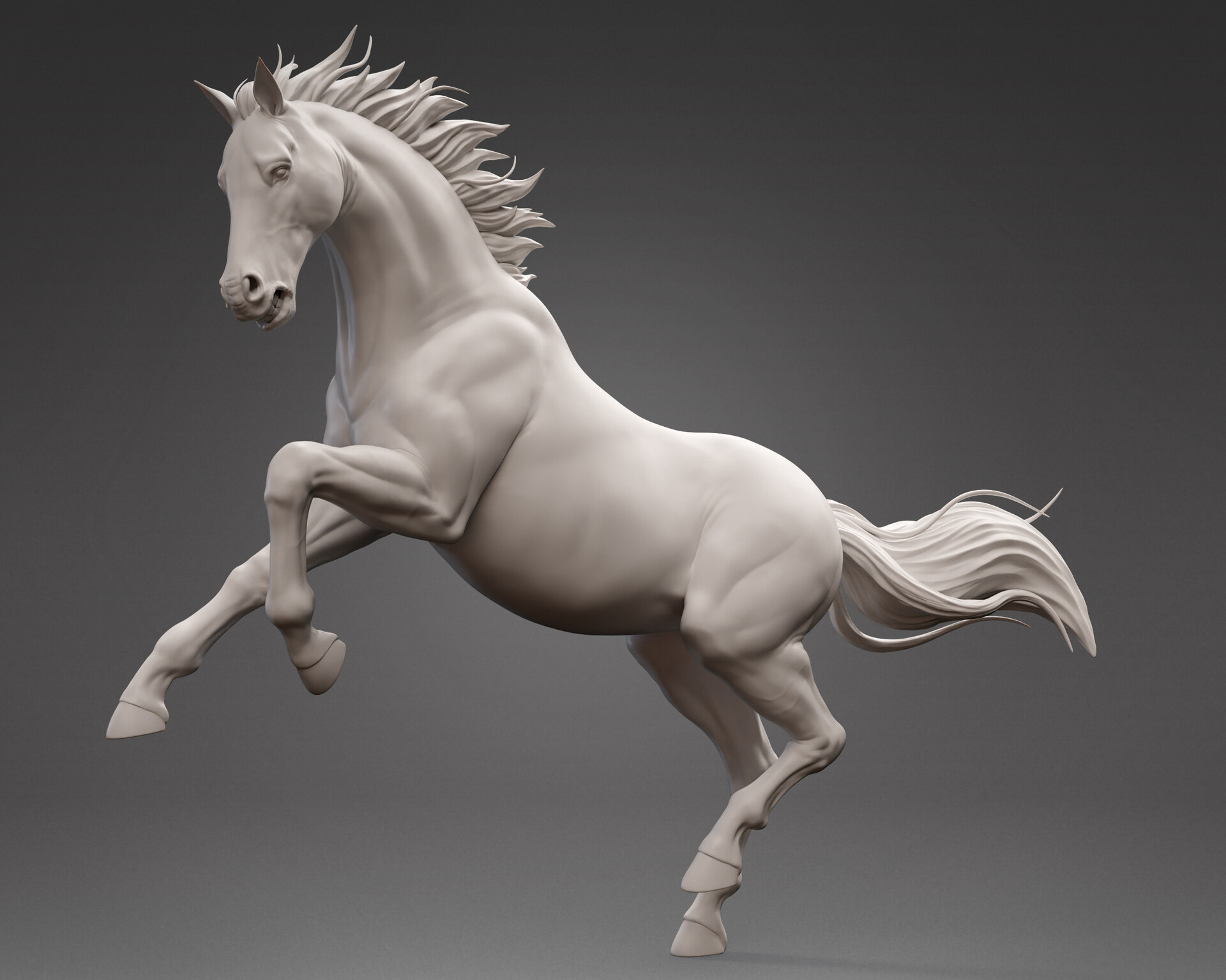 ArtStation - Horse Anatomy Study