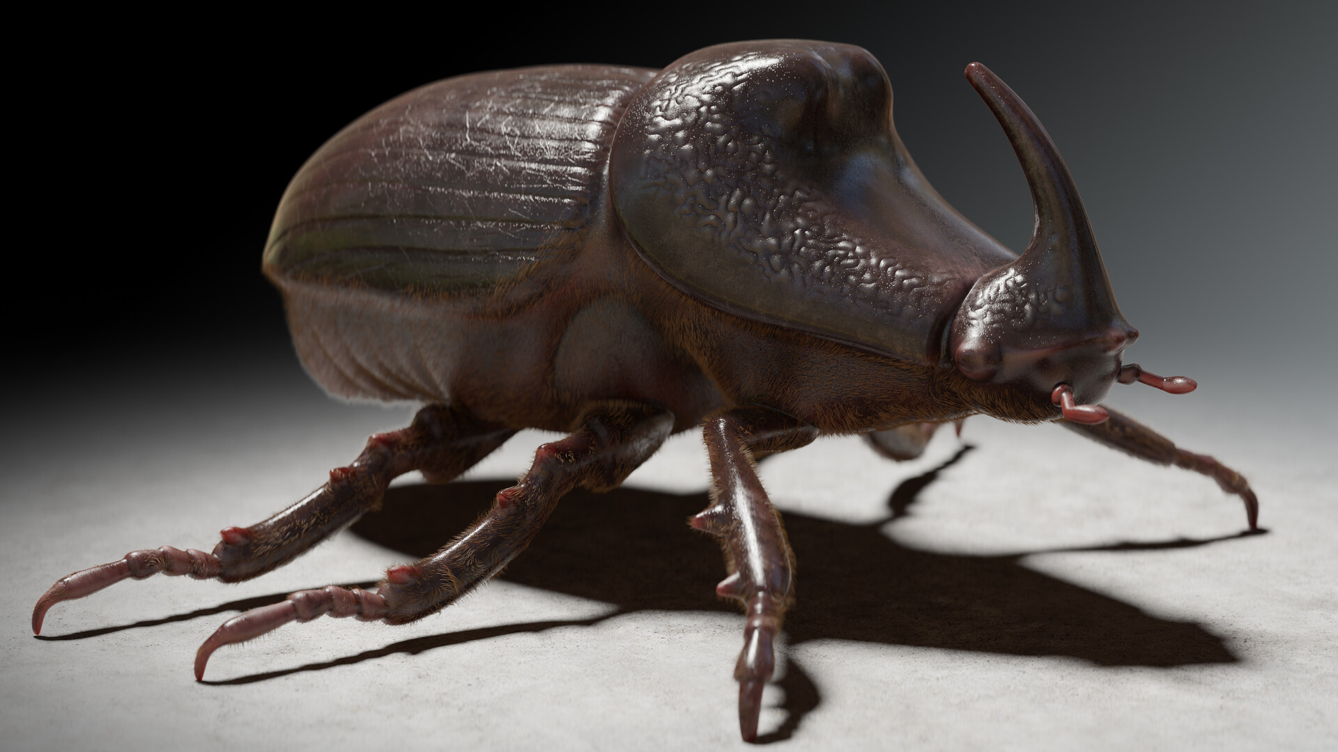ArtStation - The insider beetle