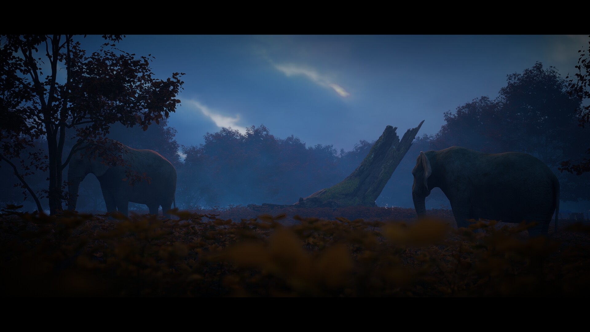 Kumar Sayan Barui - Jungle