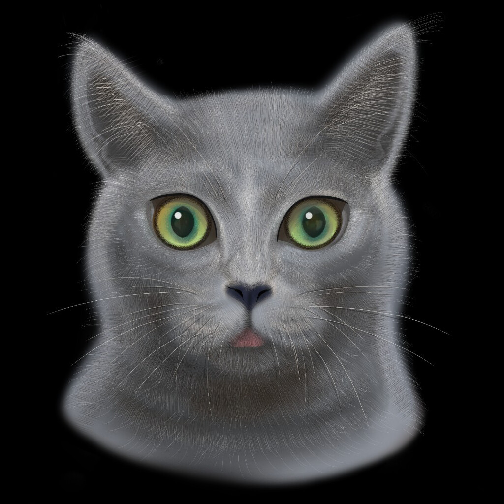 ArtStation - Cats, a frontal faces