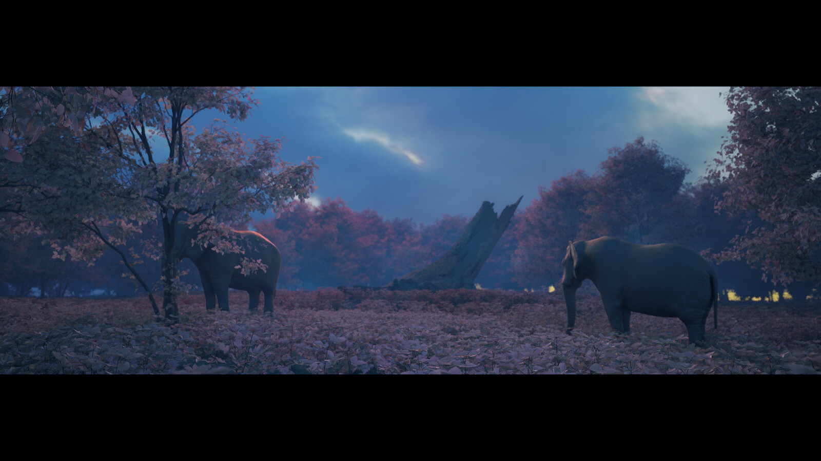 Kumar Sayan Barui - Jungle