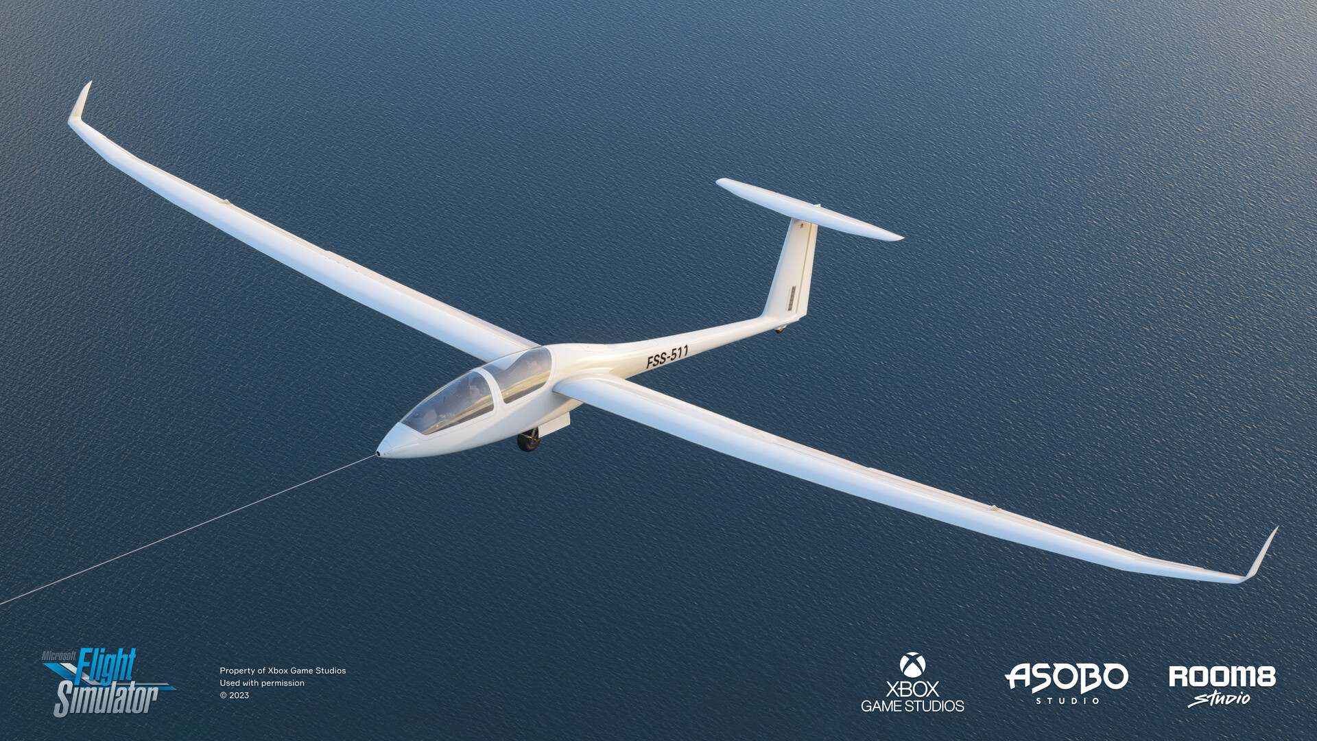 Room 8 Studio - Portfolio - DG-1001 neo (Microsoft Flight Simulator)