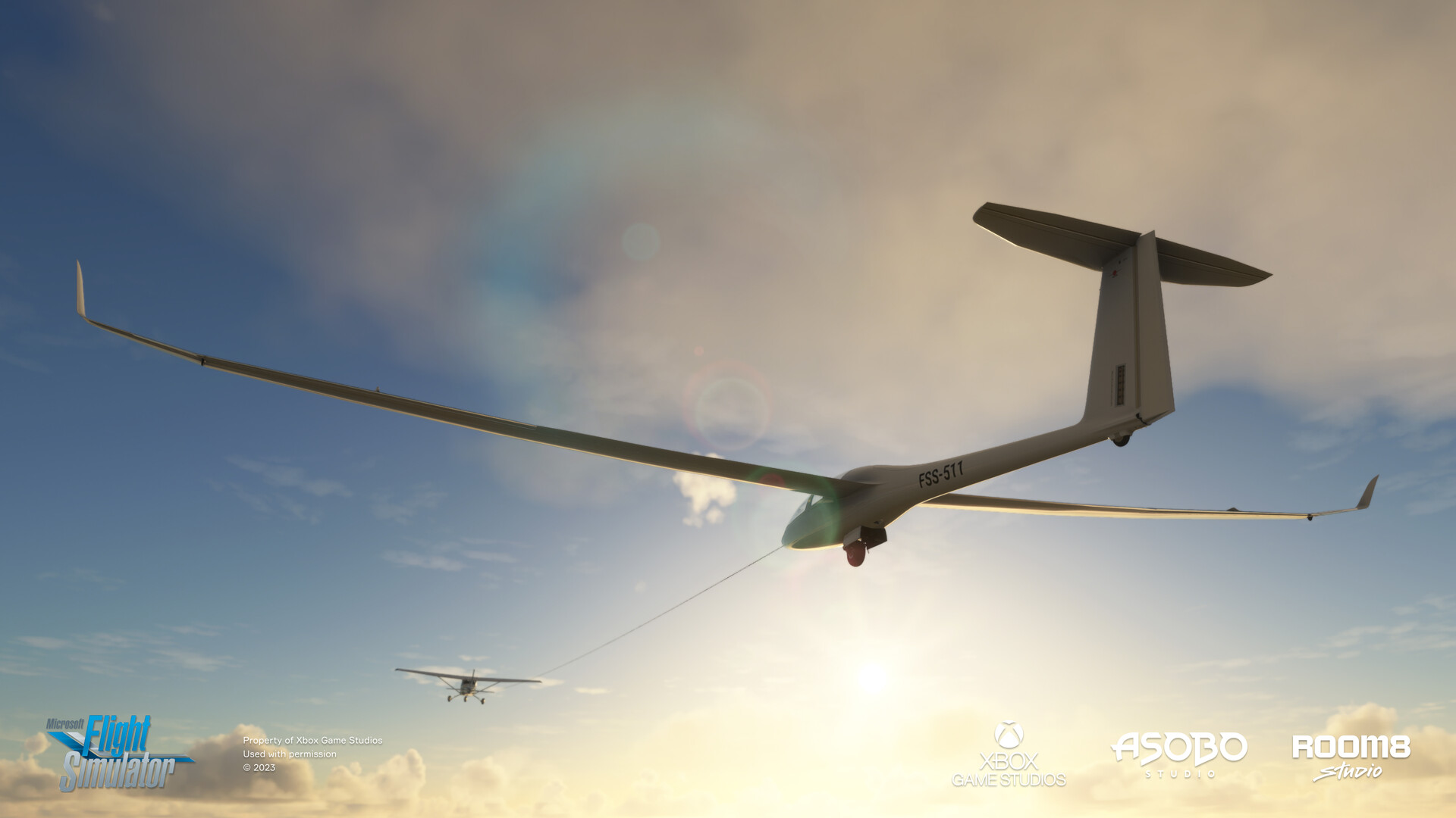 Room 8 Studio - Portfolio - DG-1001 neo (Microsoft Flight Simulator)