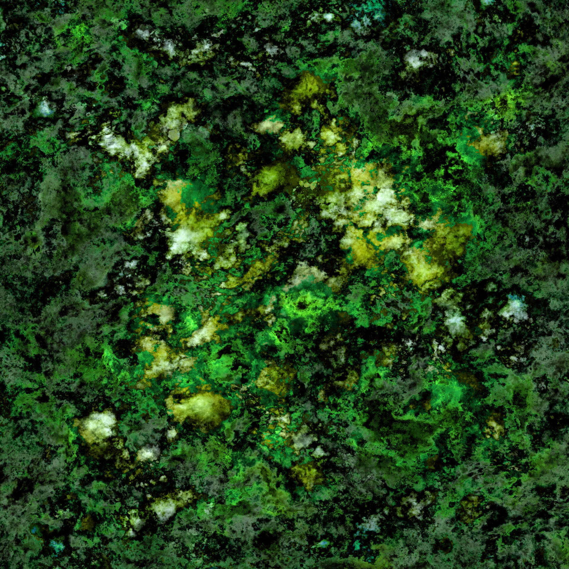 Keith Mills - Looking for the animals