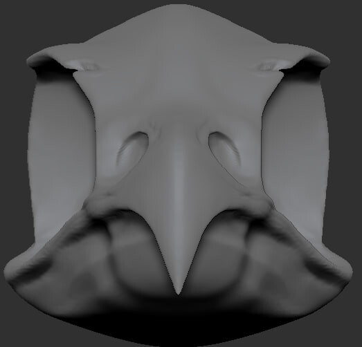 ArtStation - Secretary Bird Skull