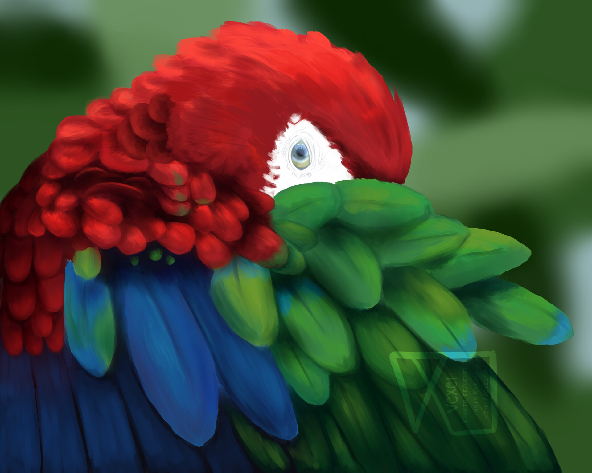 ArtStation - Macaw Feather Study