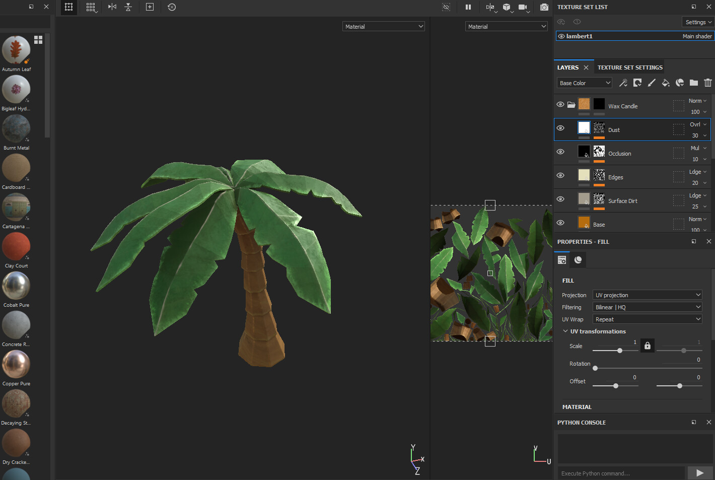 Rodrigo Calderon - Palm tree and Ocean