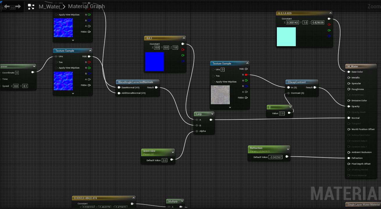 Rodrigo Calderon - Palm tree and Ocean
