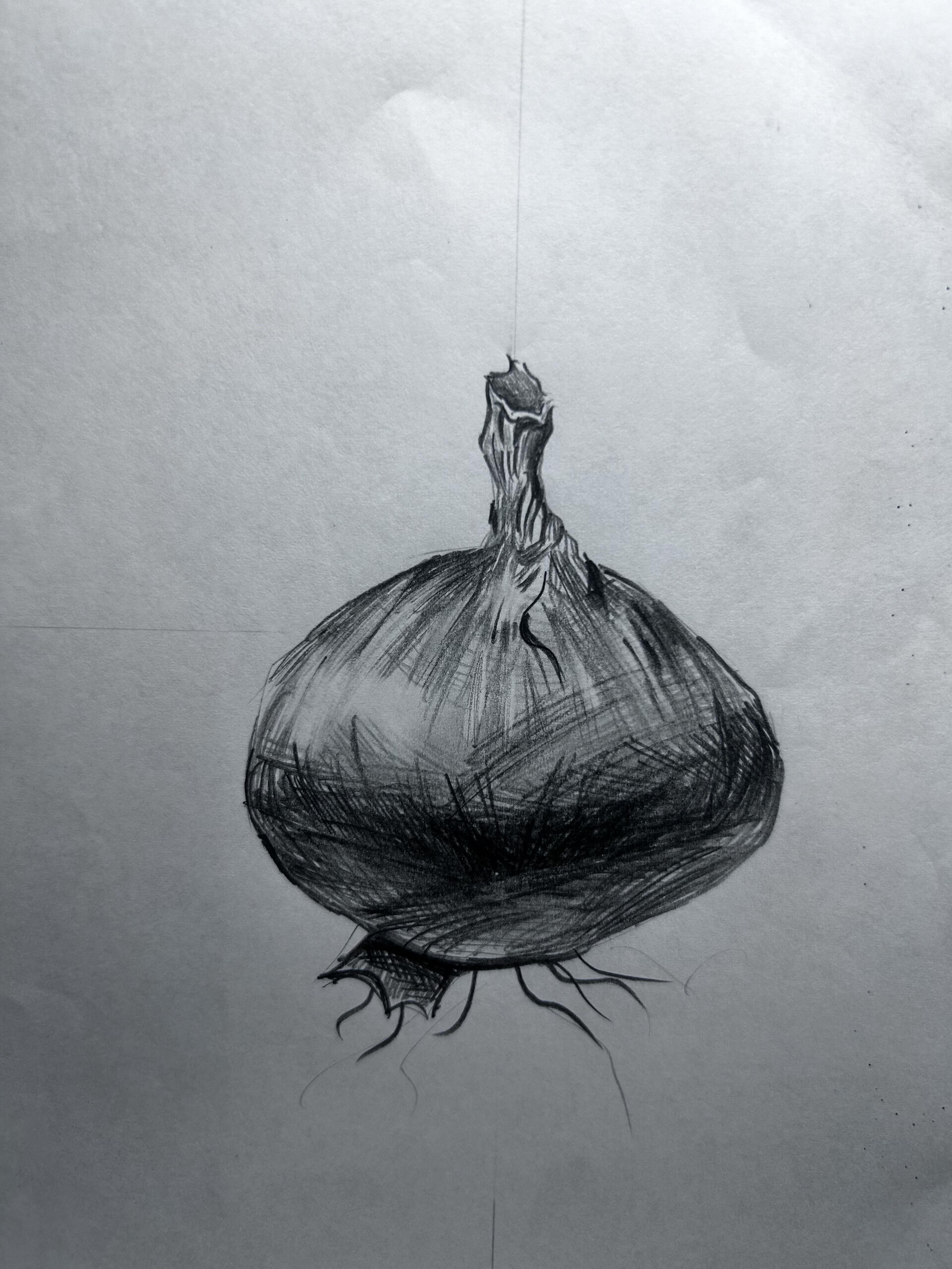 ArtStation - Observational study of an Onion