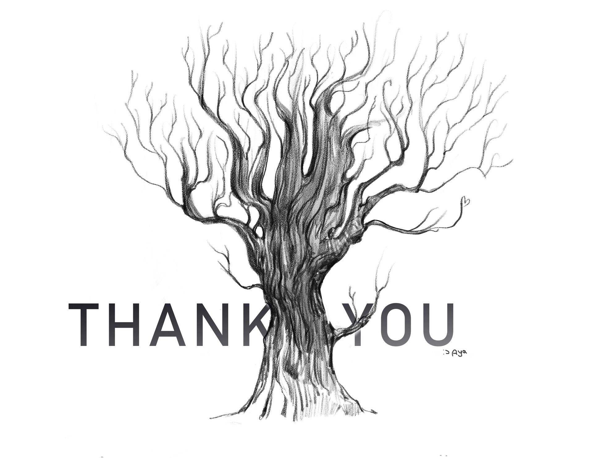 Aya Qumber - Thank you tree