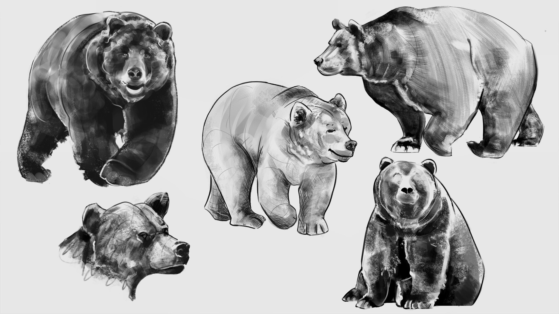 ArtStation - Bear study