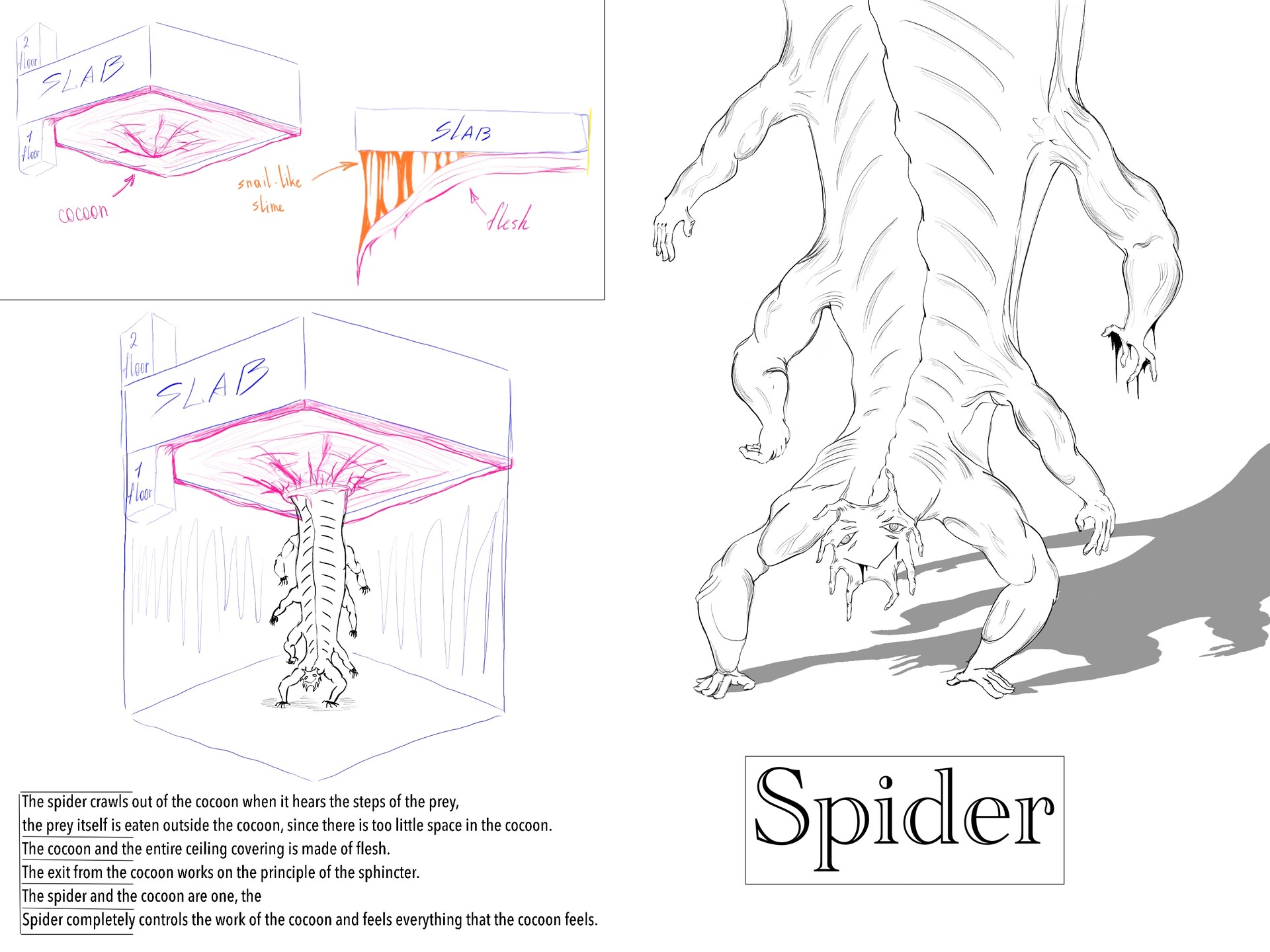 Artstation Spider Conceptart