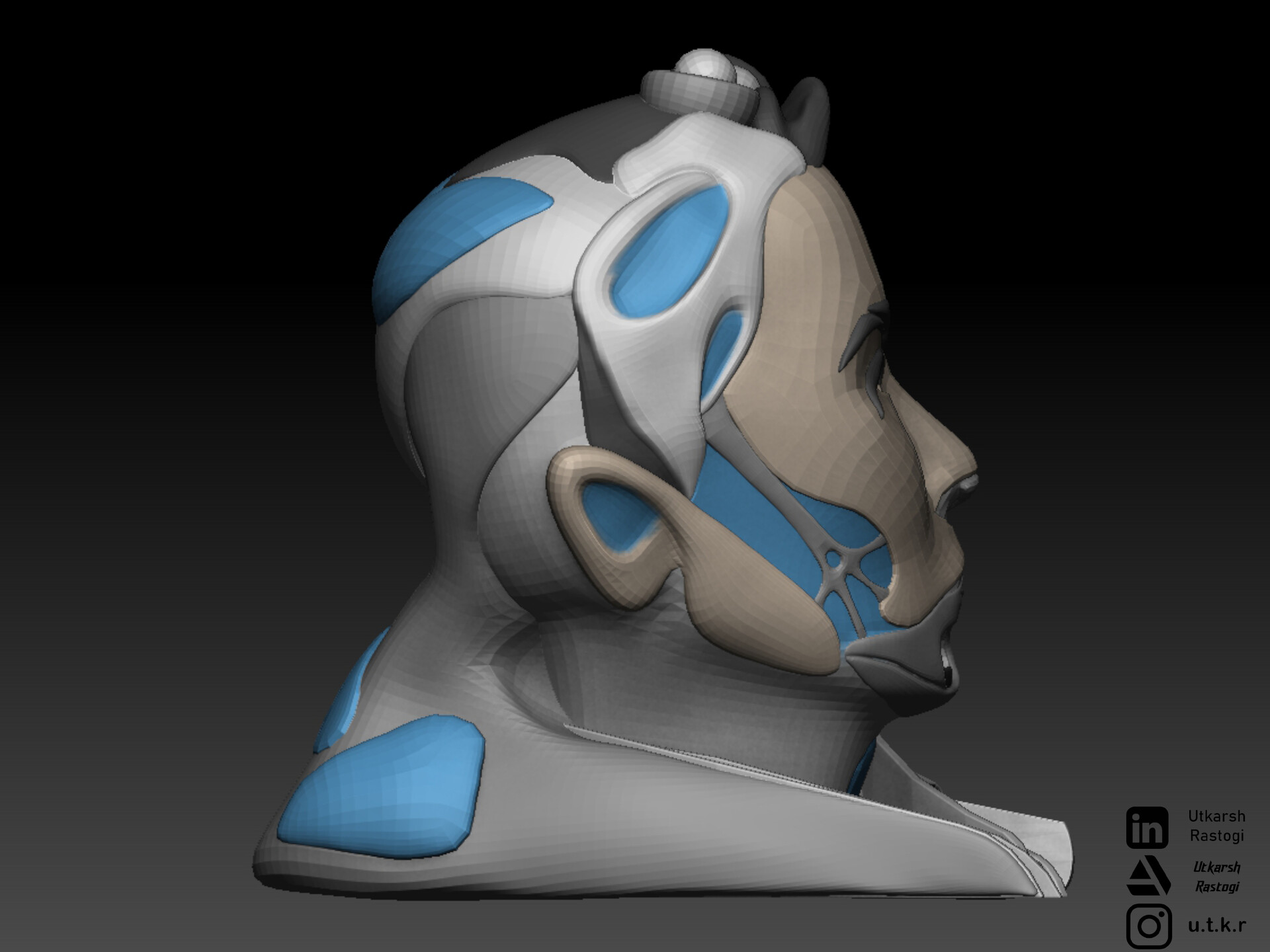 Utkarsh Rastogi - Elon Musk Structure