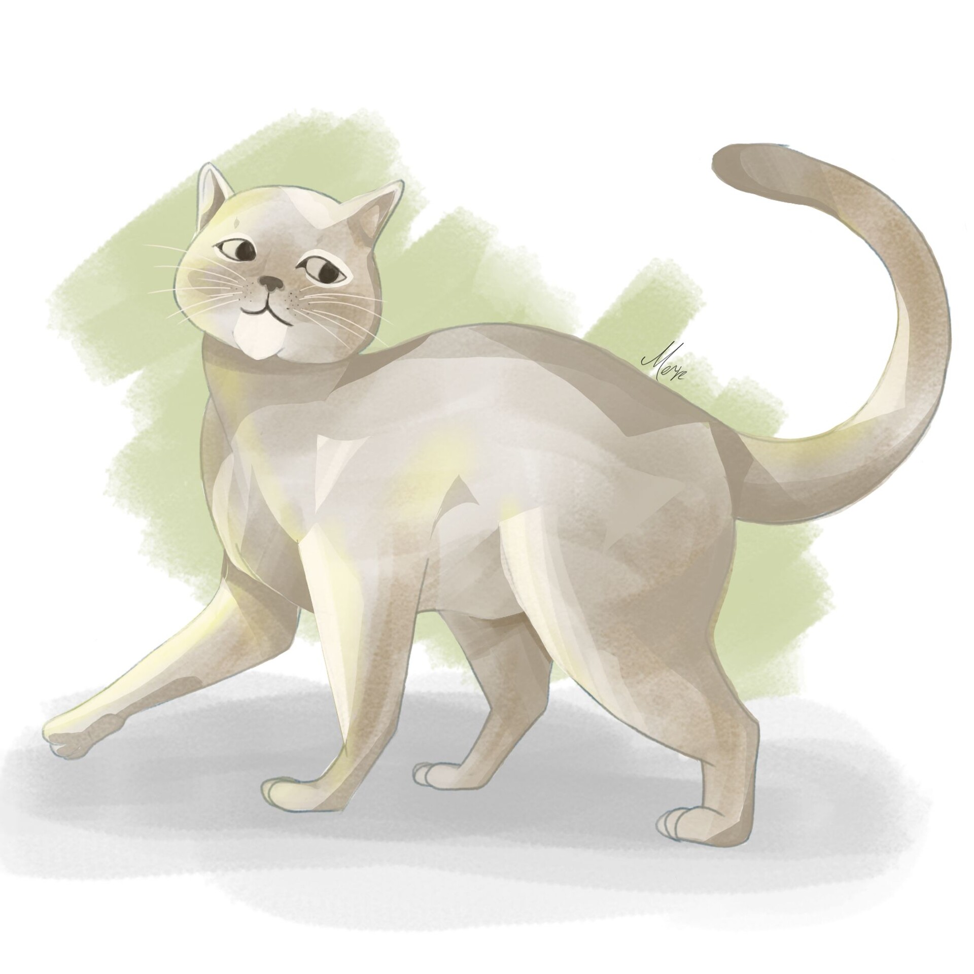 ArtStation - white cat