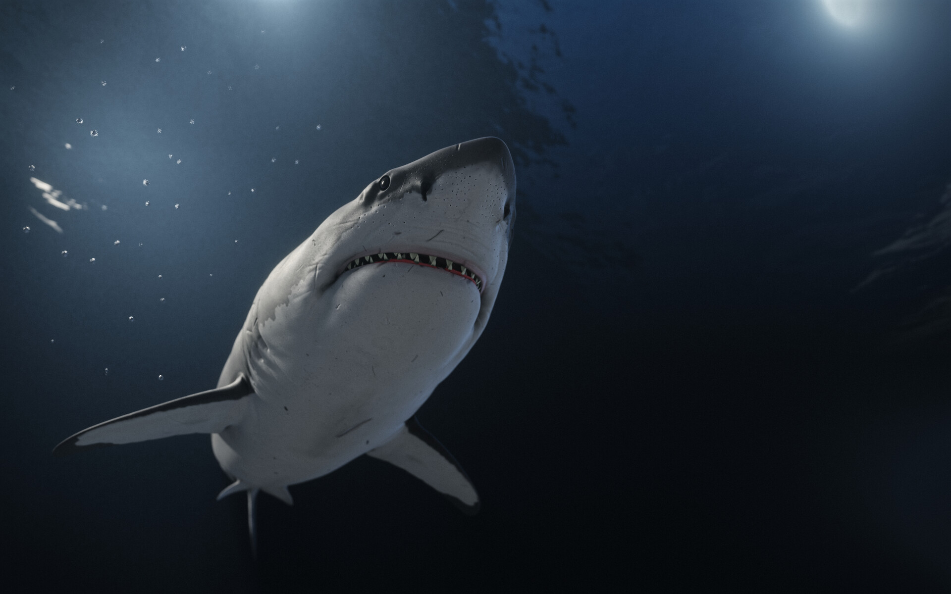 Johnson Martin - The World of Sharks