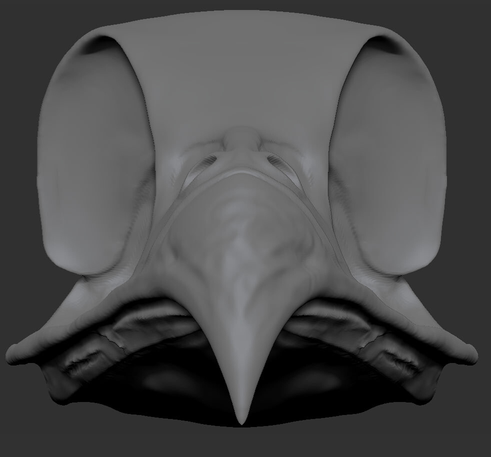 ArtStation - Striated Caracara Skull