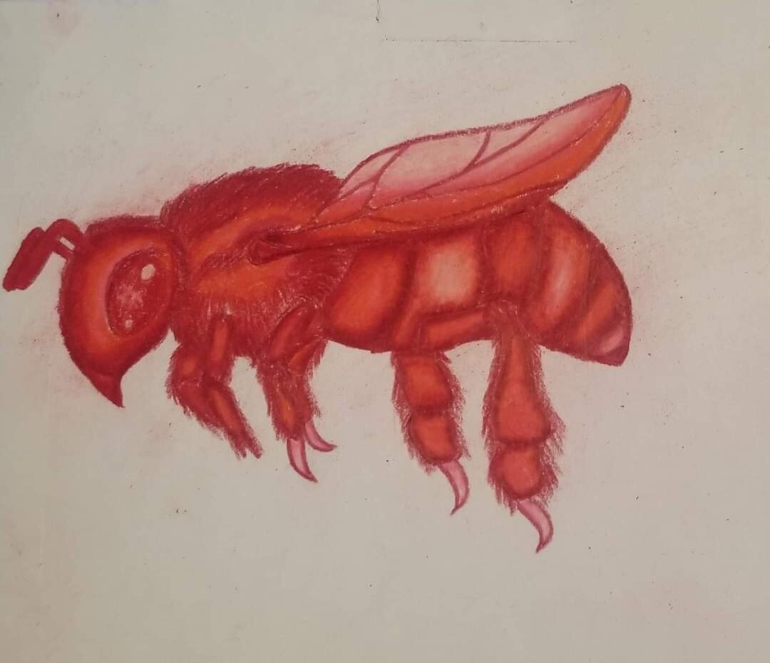ArtStation - Realistic Monochromatic Bee