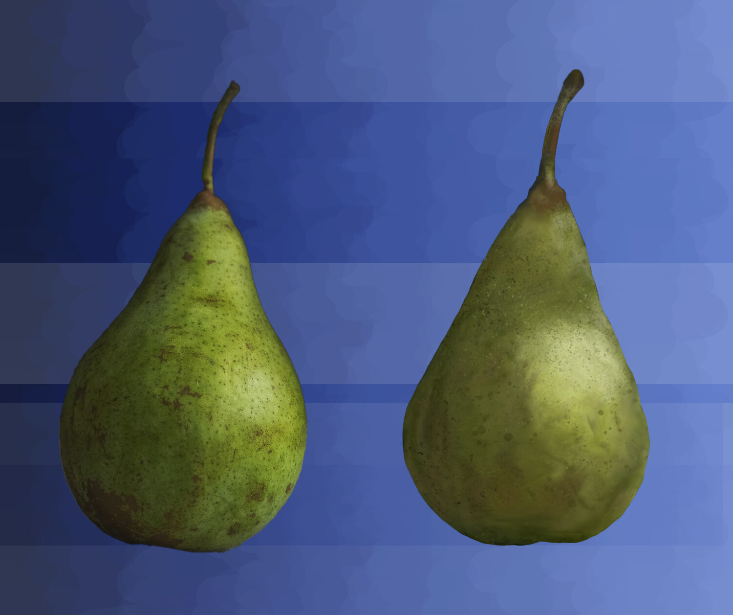 ArtStation - Pear Study Comparison
