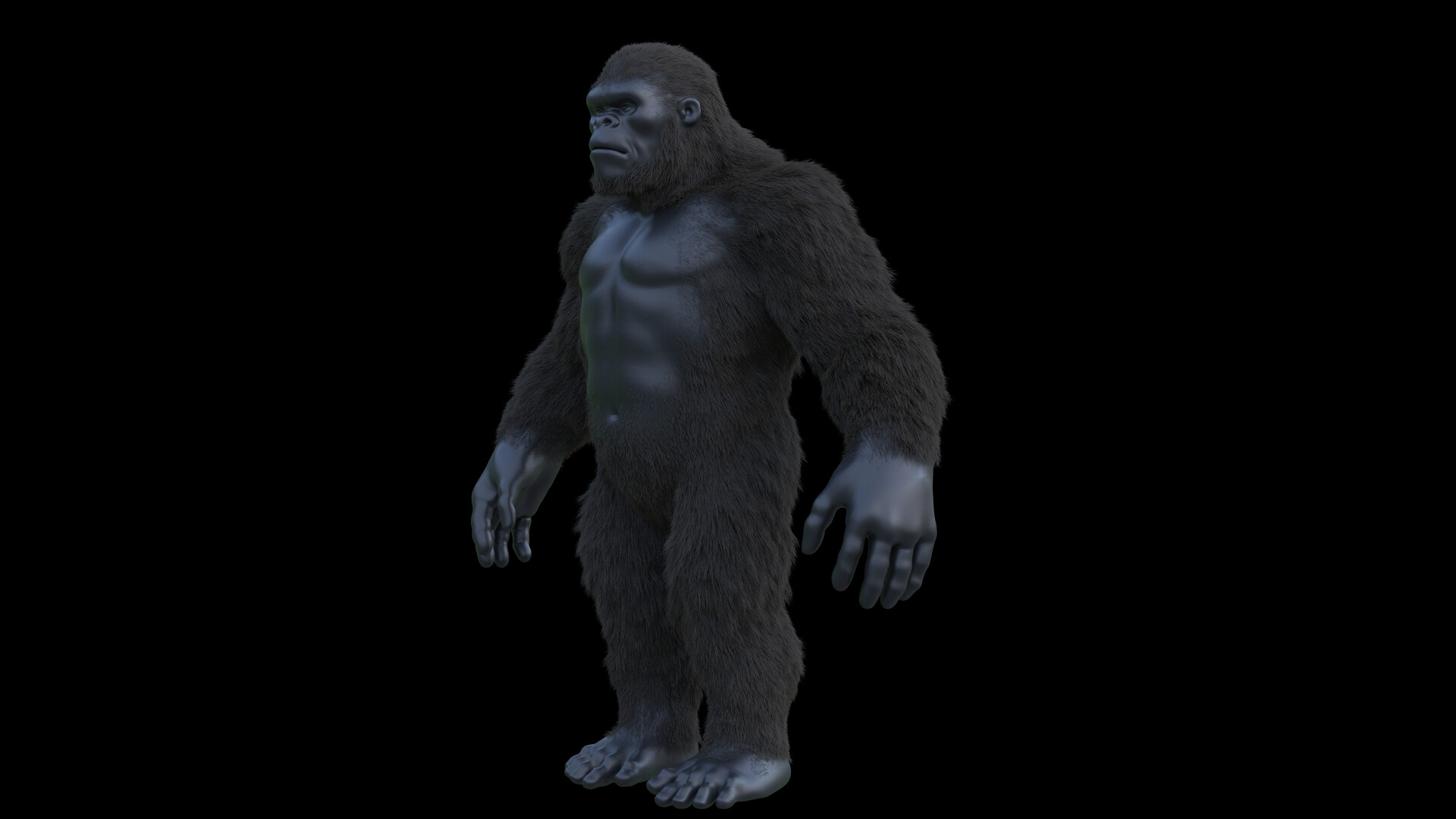 ArtStation - Char_Kong Groom done in Yeti and Maya