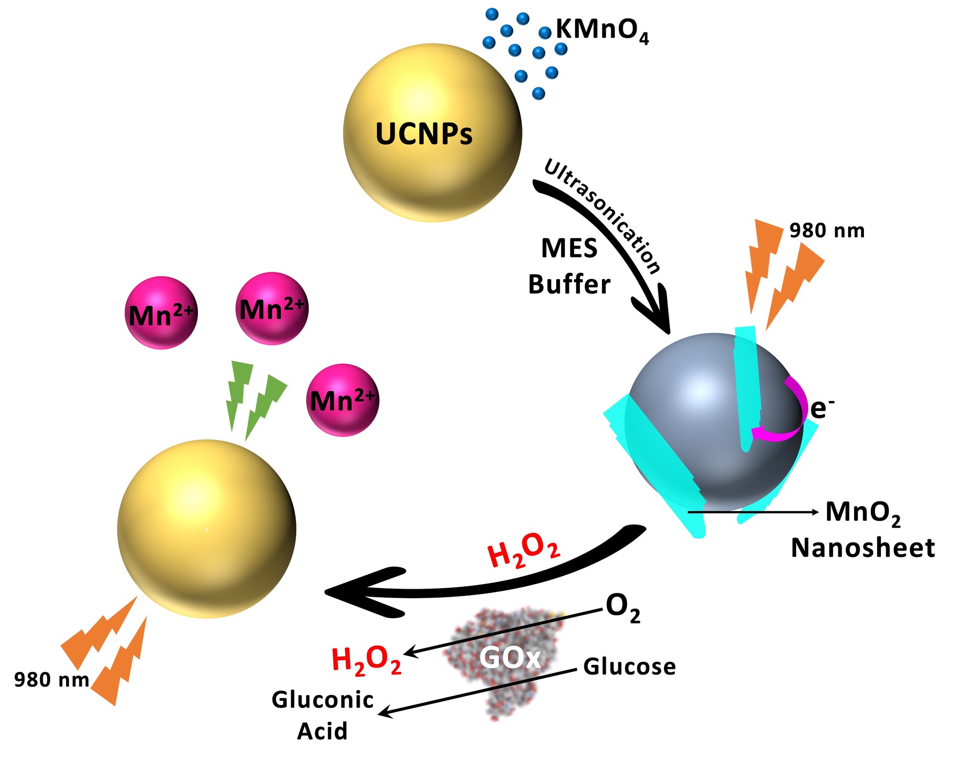 ArtStation - Navigating the Schematic Design of a MnO2 NS-Modified UCNP ...