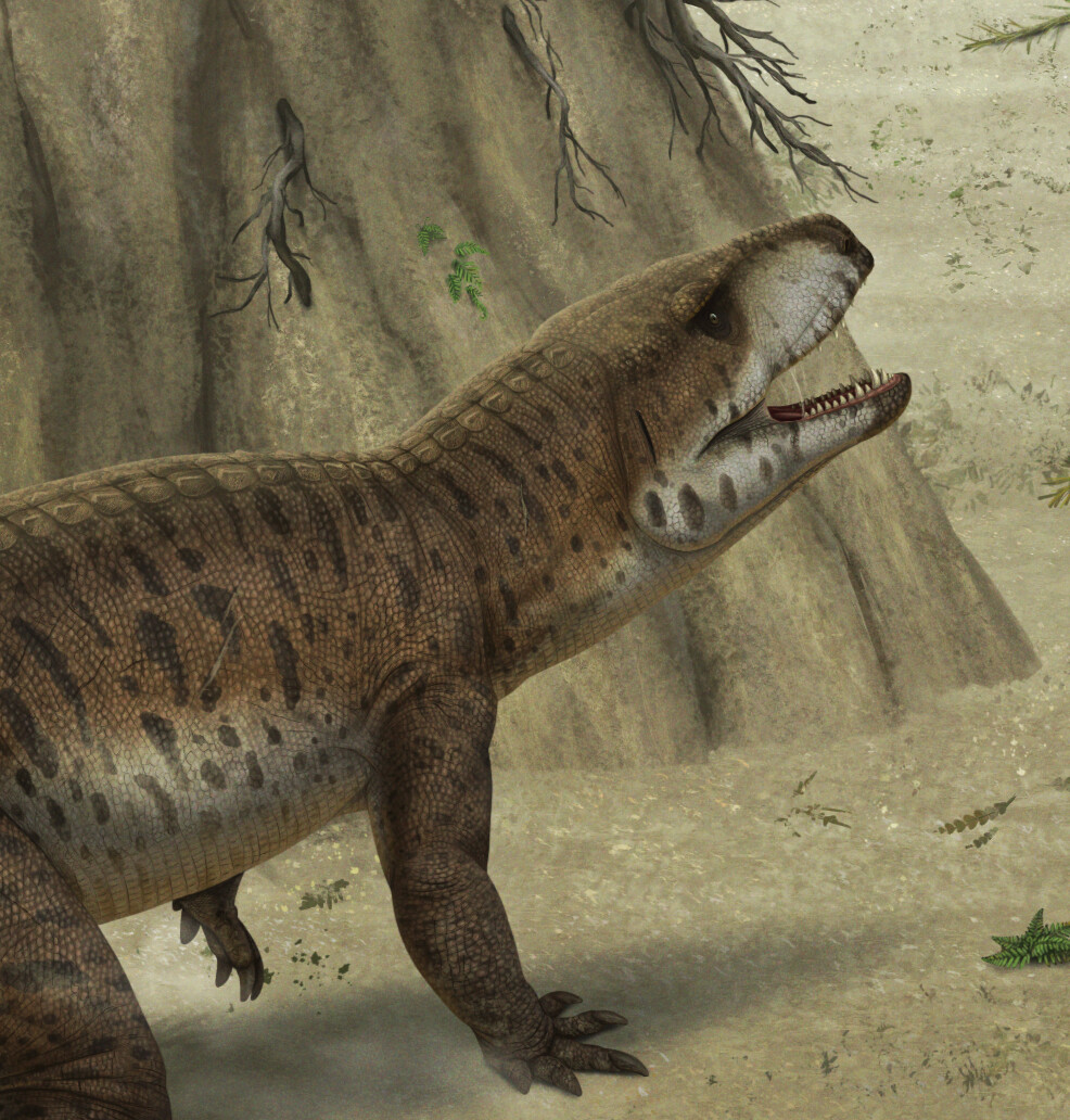 Vitor Silva - Start of a New Age - Santa Maria Formation