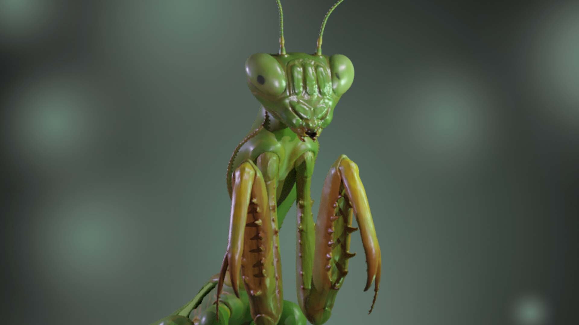 ArtStation - Praying Mantis - 3D Sculpt